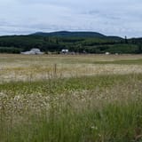 Willapa Hills Trail, Washington - 334 Reviews, Map | AllTrails