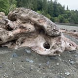 Seabold Beach Stairs, British Columbia, Canada - 33 Reviews, Map ...