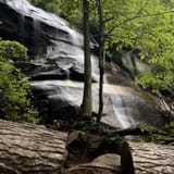 Daniel Ridge Loop, North Carolina - 2,075 Reviews, Map | AllTrails