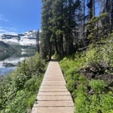 Cameron Lake Trail, Alberta, Canada - 372 Reviews, Map | AllTrails