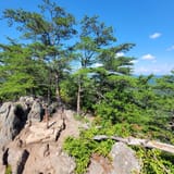 Pinnacle Trail to Kings Pinnacle, North Carolina - 3,164 Reviews, Map ...