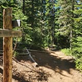 Duffy Lake Trail, Oregon - 451 Reviews, Map | AllTrails