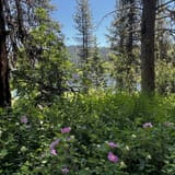 Sage Hen Reservoir Trail, Idaho - 55 Reviews, Map | AllTrails