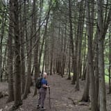 Jordan Valley Pathway, Michigan - 795 Reviews, Map | AllTrails