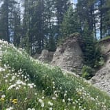 Lady Macdonald Teahouse, Alberta, Canada - 1,877 Reviews, Map | AllTrails