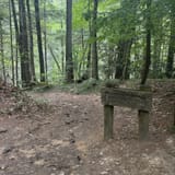 Rock Bridge Trail, Kentucky - 3,629 Reviews, Map | AllTrails