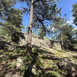 Independence Mountain Trail, Colorado - 5,221 Reviews, Map | AllTrails