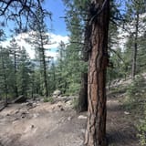 Independence Mountain Trail, Colorado - 5,221 Reviews, Map | AllTrails