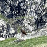 Venable-Comanche Trail, Colorado - 475 Reviews, Map | AllTrails