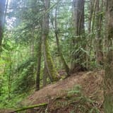 Swuq'us (Mount Prevost) via Drinkwater Road, British Columbia, Canada ...