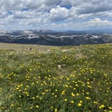 Mount Flora Trail, Colorado - 3,978 Reviews, Map | AllTrails