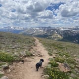 Mount Flora Trail, Colorado - 3,978 Reviews, Map | AllTrails