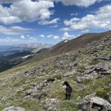 Mount Flora Trail, Colorado - 3,978 Reviews, Map | AllTrails