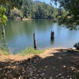 Cross Marin Trail to Kent Lake, California - 135 Reviews, Map | AllTrails