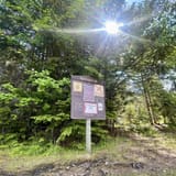 Upper Priest Lake Navigation Trail, Idaho - 251 Reviews, Map | AllTrails