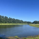 Market Common Trail, South Carolina - 190 Reviews, Map | AllTrails