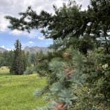 Davis Ponds Trail, Colorado - 1,333 Reviews, Map | AllTrails