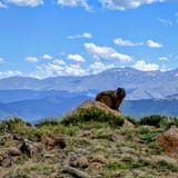 Mount Flora, Eva, Bancroft, and Parry Peak via Mount Flora Trail ...