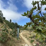 Malaga Lunada Vista Loop, California - 414 Reviews, Map | AllTrails