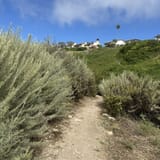 Malaga Lunada Vista Loop, California - 414 Reviews, Map | AllTrails