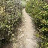 Malaga Lunada Vista Loop, California - 414 Reviews, Map | AllTrails