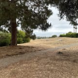 Malaga Lunada Vista Loop, California - 414 Reviews, Map | AllTrails
