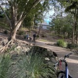 Cabbage Tree Creek, Queensland, Australia - 97 Reviews, Map | AllTrails