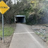 Cabbage Tree Creek, Queensland, Australia - 97 Reviews, Map | AllTrails