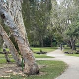 Cabbage Tree Creek, Queensland, Australia - 97 Reviews, Map | AllTrails