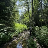 Mount Washington Trail, Washington - 2,958 Reviews, Map | AllTrails