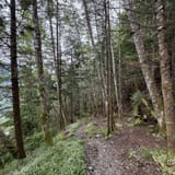 Mount Washington Trail, Washington - 2,958 Reviews, Map | AllTrails