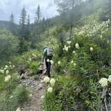 Mount Washington Trail, Washington - 2,958 Reviews, Map | AllTrails
