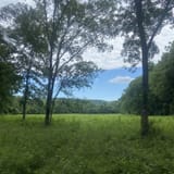 Powder Mills to Rocky Falls, Missouri - 91 Reviews, Map | AllTrails