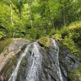 Jones Run Falls Trail, Virginia - 855 Reviews, Map | AllTrails