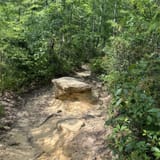 Auxier Ridge Trail to Courthouse Rock, Kentucky - 2,342 Reviews, Map ...