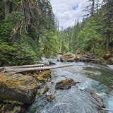 Staircase Rapids Loop, Washington - 2,766 Reviews, Map | AllTrails