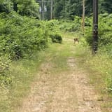 Appalachian Trail, Hosack Run, and Locust Gap Loop, Pennsylvania - 479 ...