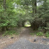 Appalachian Trail, Hosack Run, and Locust Gap Loop, Pennsylvania - 479 ...