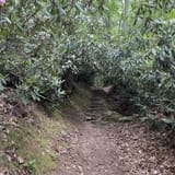 Appalachian Trail, Hosack Run, and Locust Gap Loop, Pennsylvania - 452 ...