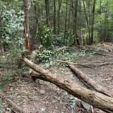 Appalachian Trail, Hosack Run, and Locust Gap Loop, Pennsylvania - 452 ...