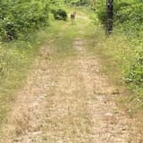 Appalachian Trail, Hosack Run, and Locust Gap Loop, Pennsylvania - 452 ...