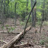 Appalachian Trail, Hosack Run, and Locust Gap Loop, Pennsylvania - 452 ...