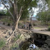 Cabbage Tree Creek, Queensland, Australia - 97 Reviews, Map | AllTrails