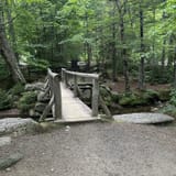 Lonesome Lake Trail, New Hampshire - 3,869 Reviews, Map | AllTrails
