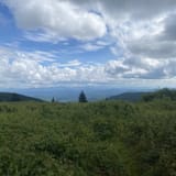Mount Rogers Loop Trail, Virginia - 391 Reviews, Map | AllTrails