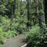 Tryon Creek Triple Bridge Loop, Oregon - 1,649 Reviews, Map | AllTrails