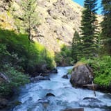 Rapid River Trail, Idaho - 260 Reviews, Map | AllTrails