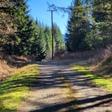 Franklin Ghost Town Trail, Washington - 1,501 Reviews, Map | AllTrails