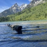 String Lake Trail, Wyoming - 2,230 Reviews, Map | AllTrails