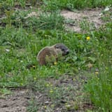 Spider Lake OHV Trail, Minnesota - 48 Reviews, Map | AllTrails